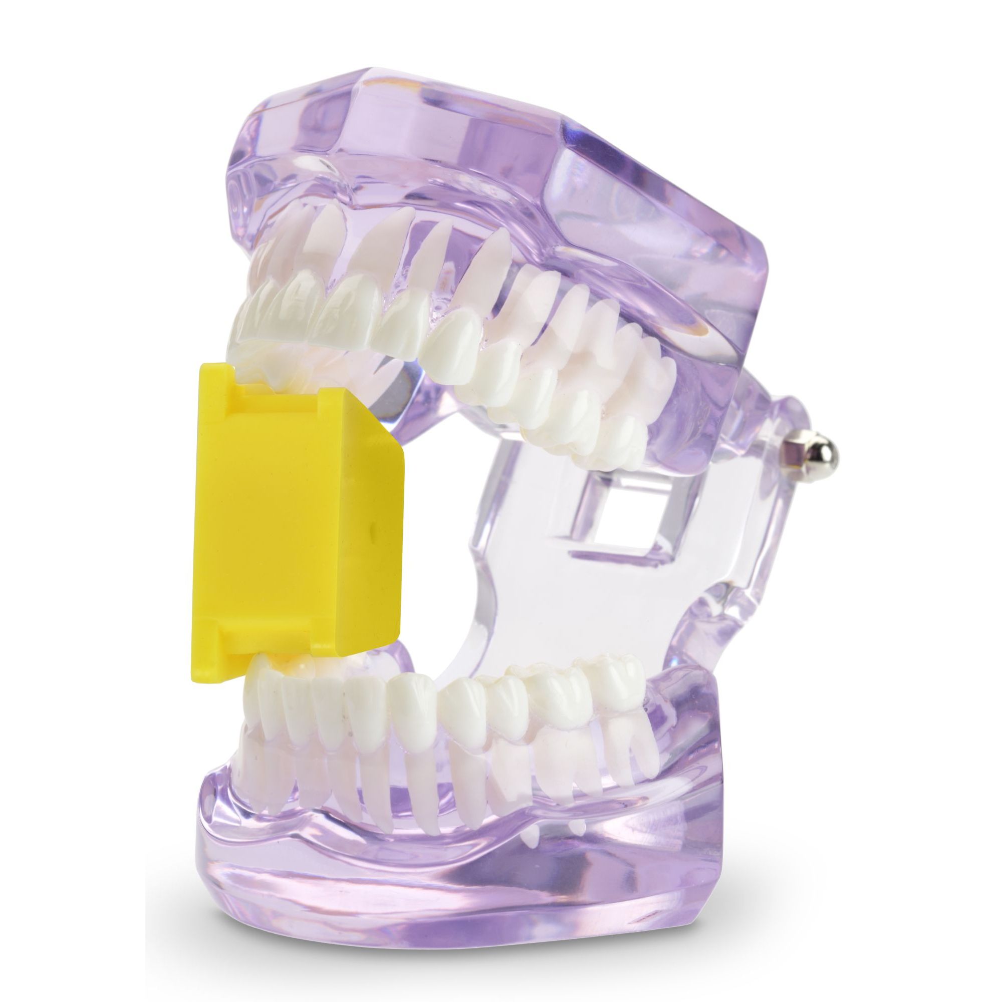 MOUTH PROP SILICON SMALL ORANGE | CORICAMA - Since 1873