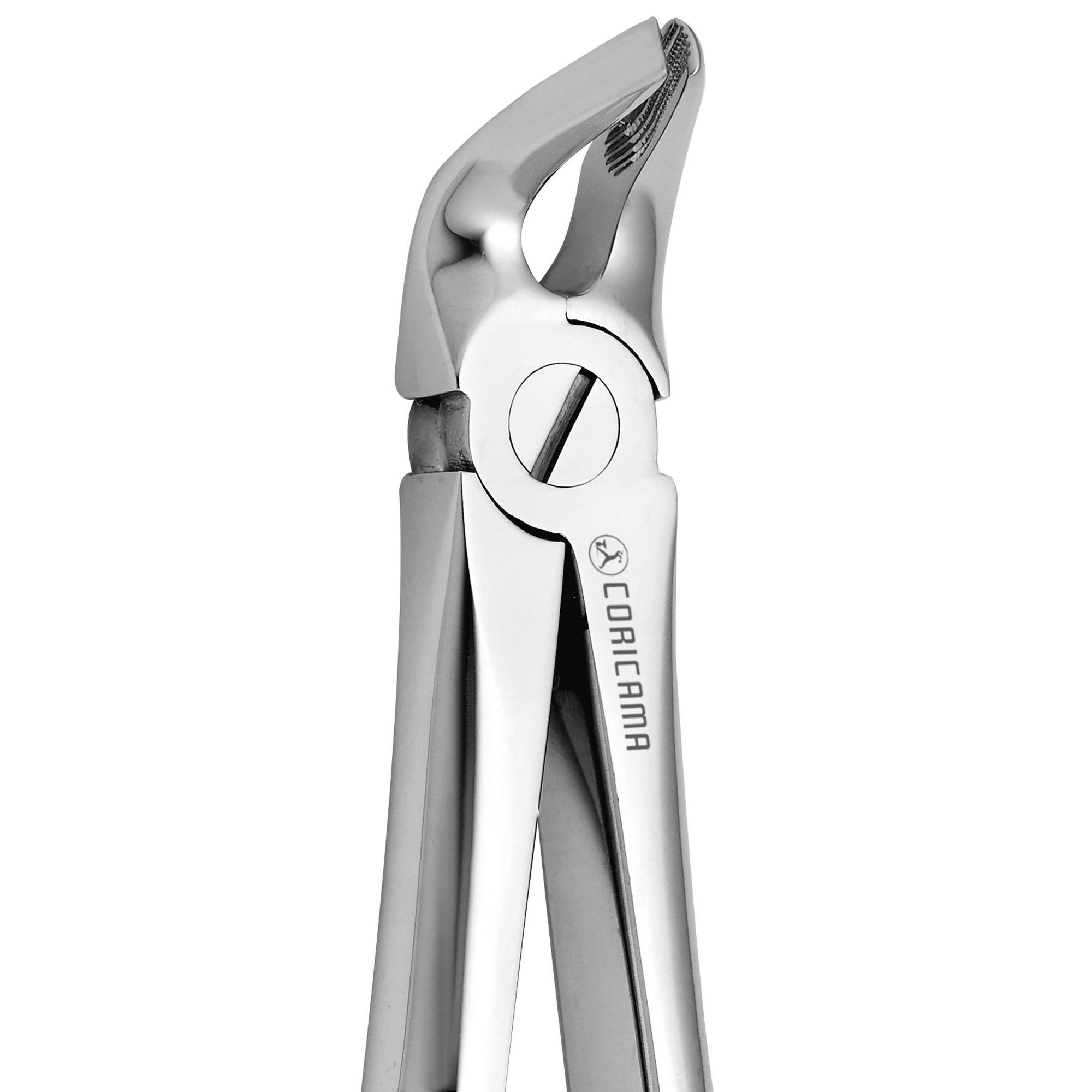 TOOTH FORCEPS N. 8 | CORICAMA - Since 1873