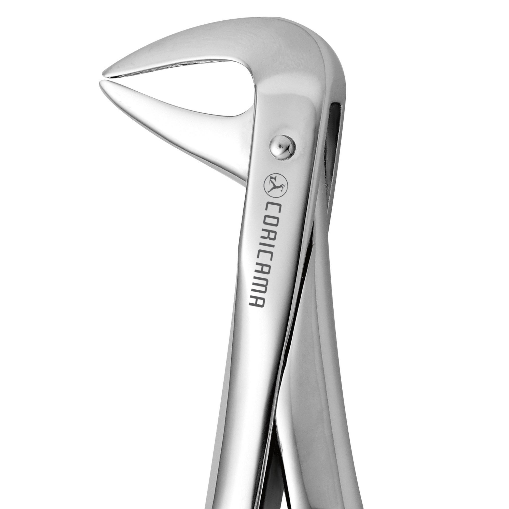 TOOTH FORCEPS N. 74-M | CORICAMA - Since 1873