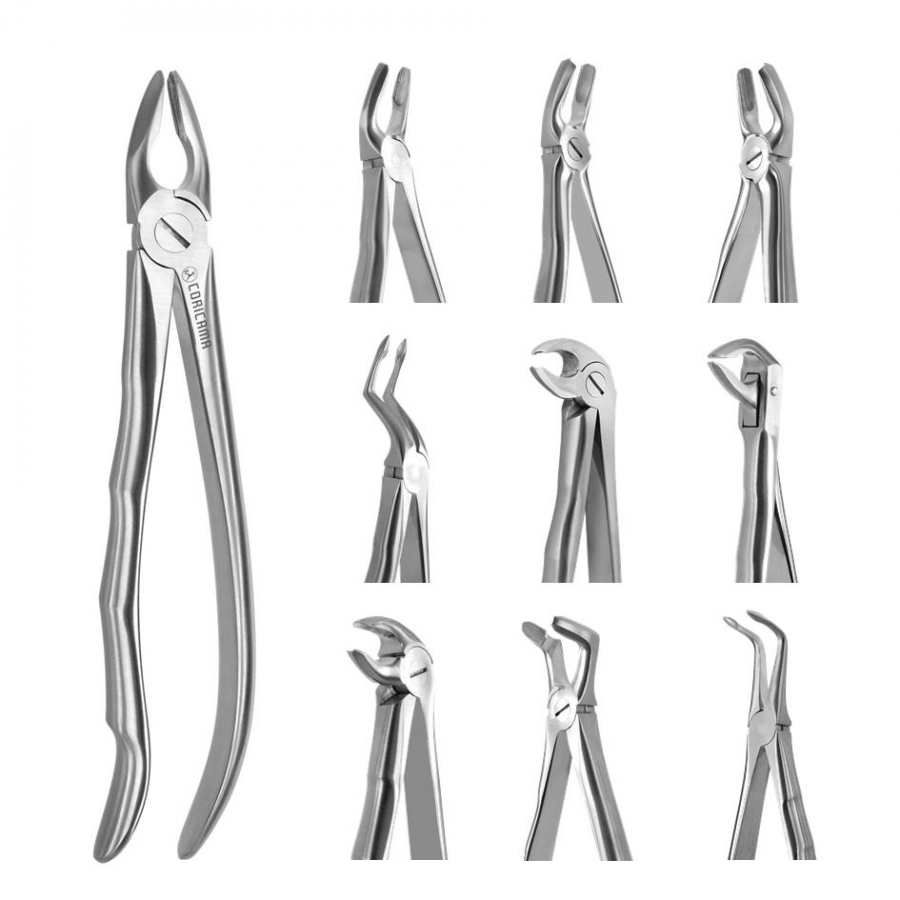 612000 – SET TOOTH FORCEPS BLADE BEAKS | CORICAMA - Since 1873