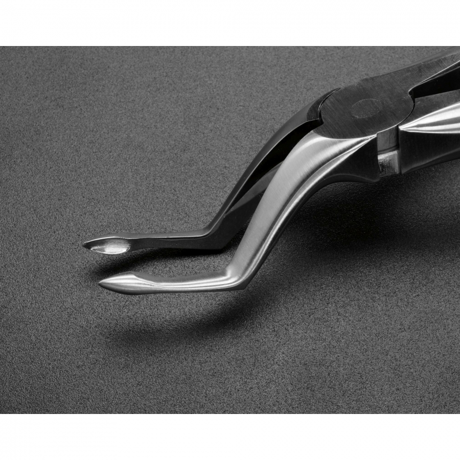 TOOTH FORCEPS BLADE BEAKS N.51 | CORICAMA - Since 1873