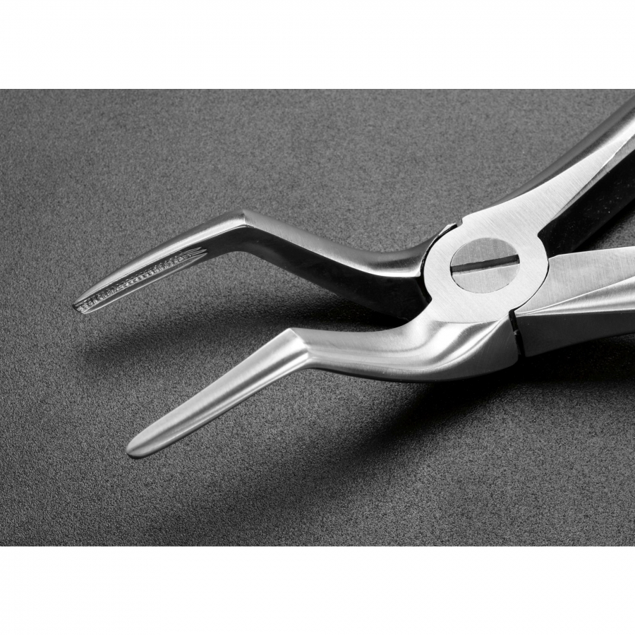 TOOTH FORCEPS BLADE BEAKS N.51-AL | CORICAMA - Since 1873