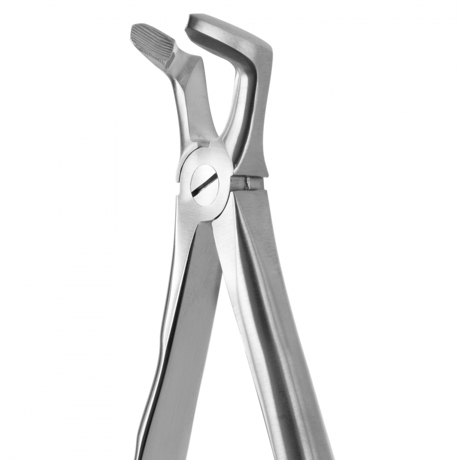 TOOTH FORCEPS BLADE BEAKS N.79 | CORICAMA - Since 1873