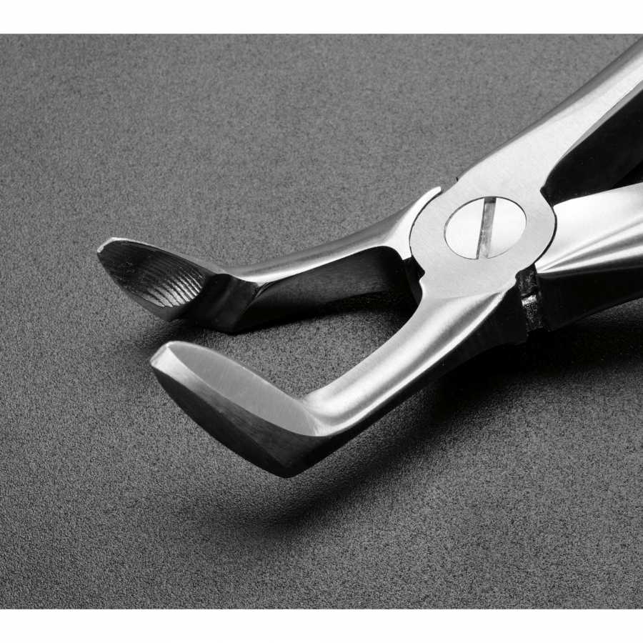 TOOTH FORCEPS BLADE BEAKS N.79-N | CORICAMA - Since 1873