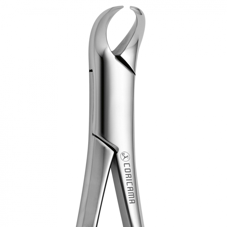 TOOTH FORCEPS AMERICAN COW HORN N. 23 | CORICAMA - Since 1873