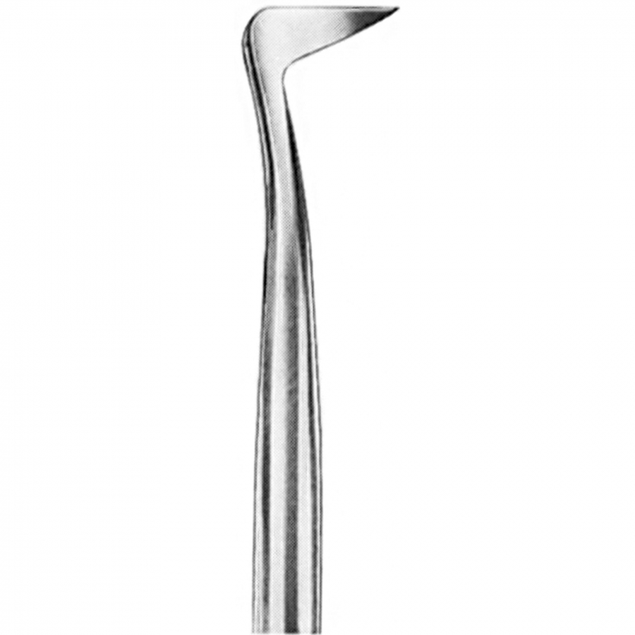 ROOT ELEVATOR SELDIN 1L LEFT | CORICAMA - Since 1873