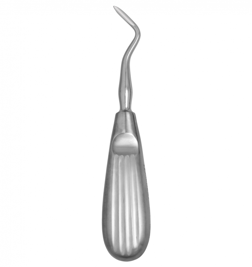 ROOT ELEVATOR HYLIN mm3.0 RIGHT | CORICAMA - Since 1873